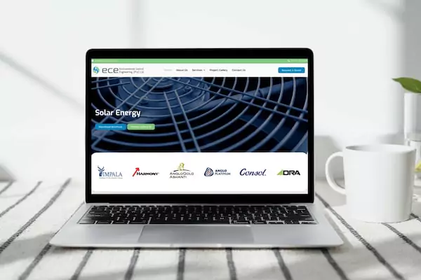 ECE | Midnight Monkey