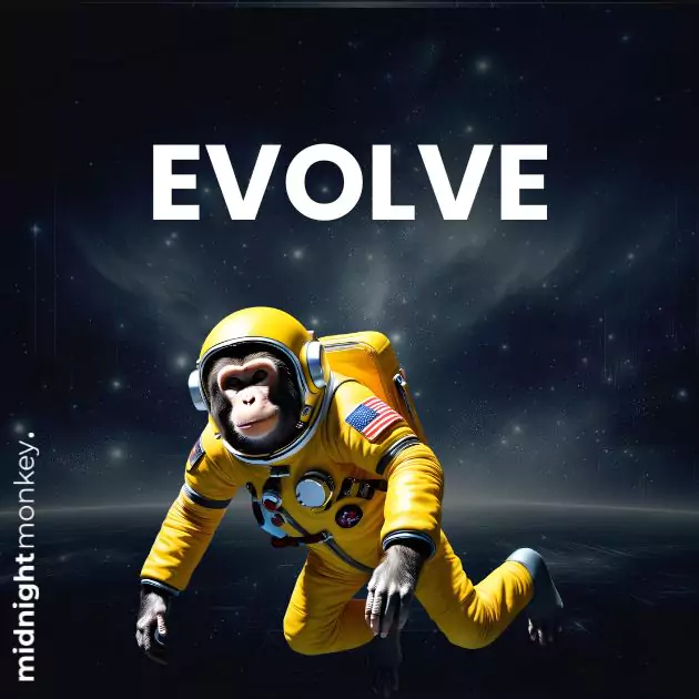 Welcome to Midnight Monkey | Design & Digital Marketing Specialists