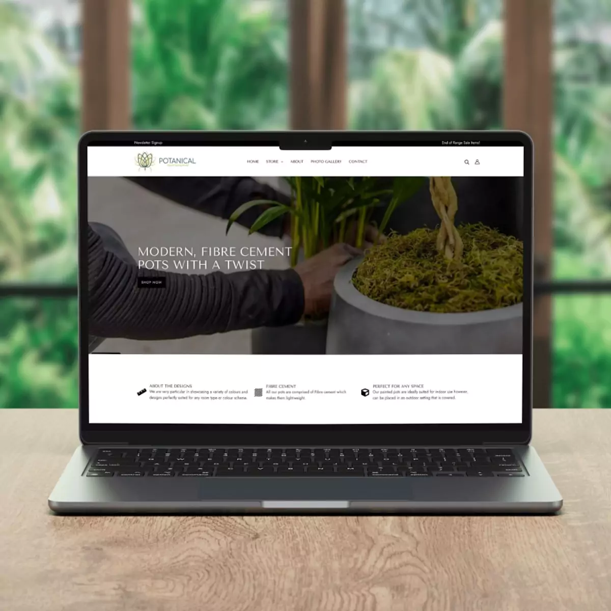 Potanical | Midnight Monkey